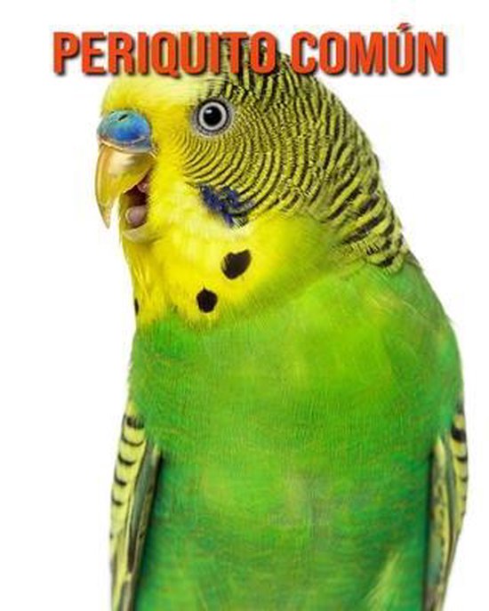 Periquito común, Kelly Craig | 9798746695291 | Boeken | bol