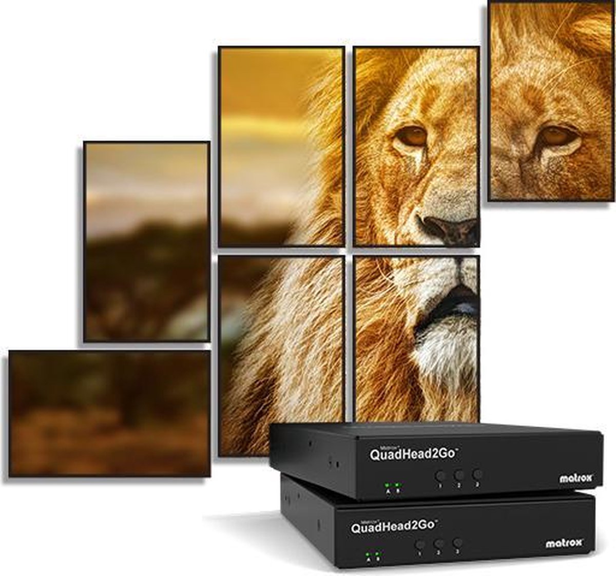QuadHead2Go Multi-Monitor Controller Appliance | bol.com