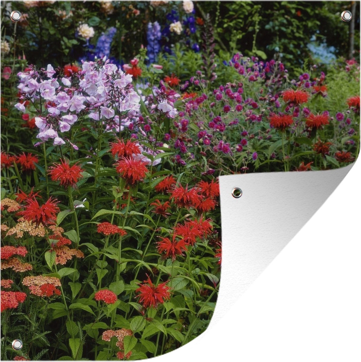 Tuindoek Gekleurde bergamot planten tijdens een heldere middag ...