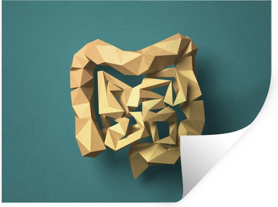 Muurstickers - Sticker Folie - Dikke darm van papier - 120x90 cm ...