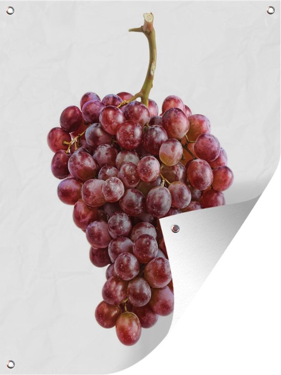 Tuinschilderij Tros verse rode druiven op een witte achtergrond - 60x80 ...
