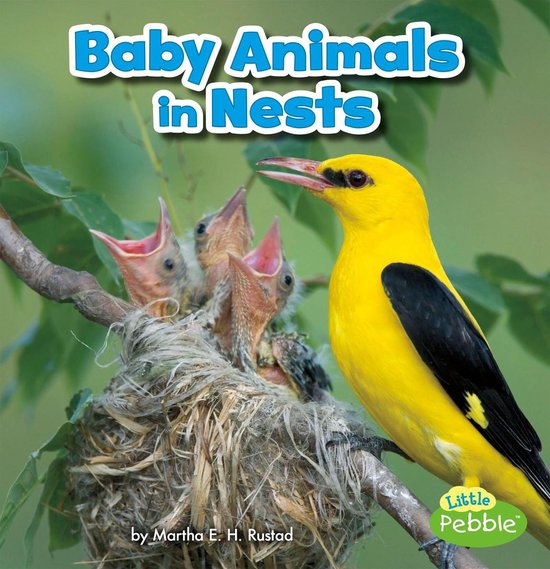 Baby Animals and Their Homes - Baby Animals in Nests (ebook), Martha E ...