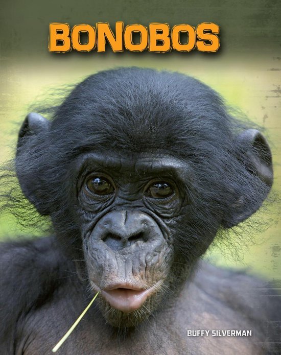 Living in the Wild: Primates - Bonobos (ebook), Buffy Silverman ...