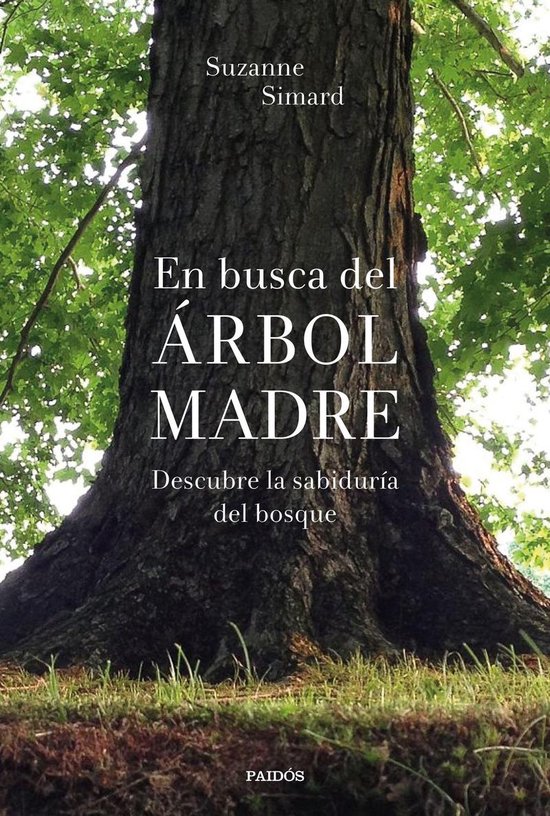 Contextos - En busca del Árbol Madre (ebook), Suzanne Simard ...