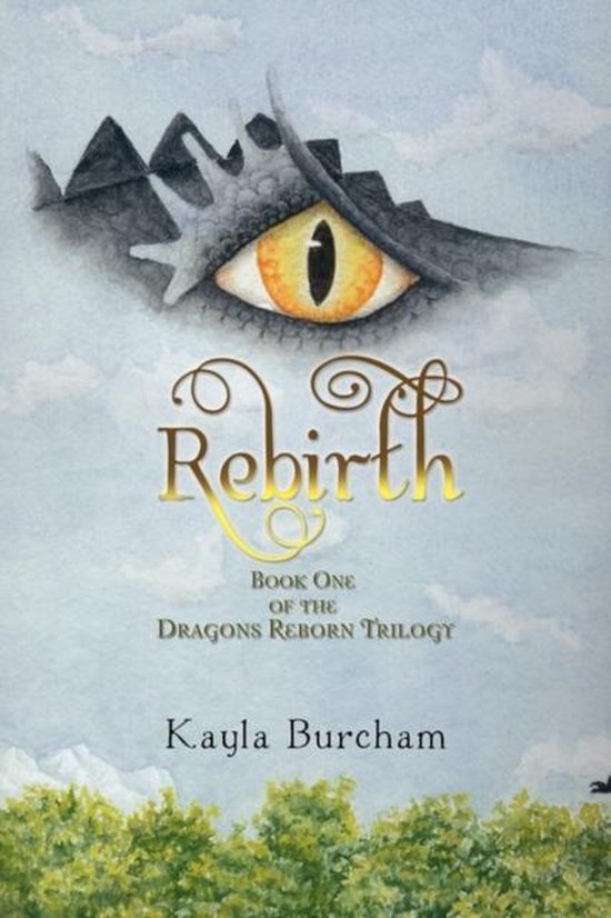 Rebirth, Kayla Burcham | 9781441548931 | Boeken | bol