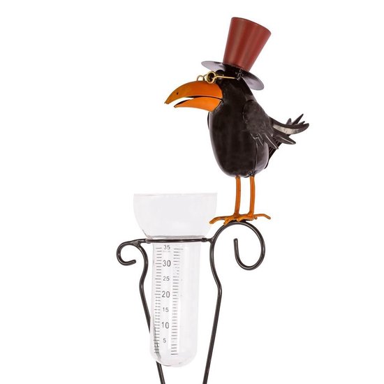 Regenmeter Meneer de Raaf | bol.com