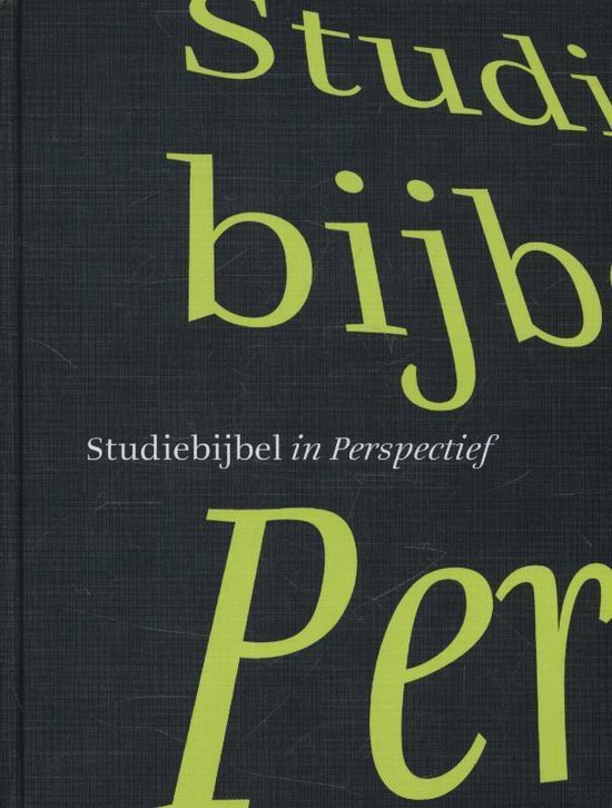 Studiebijbel in perspectief | 9789065393913 | Diverse auteurs | Boeken ...
