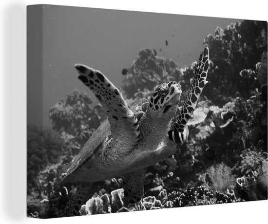 Canvas Schilderij Schildpad zwemt bij zeebodem in zwart-wit - 120x80 cm - Wanddecoratie | bol