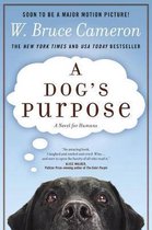 A Dog's Purpose (Film, 2017) - MovieMeter.nl