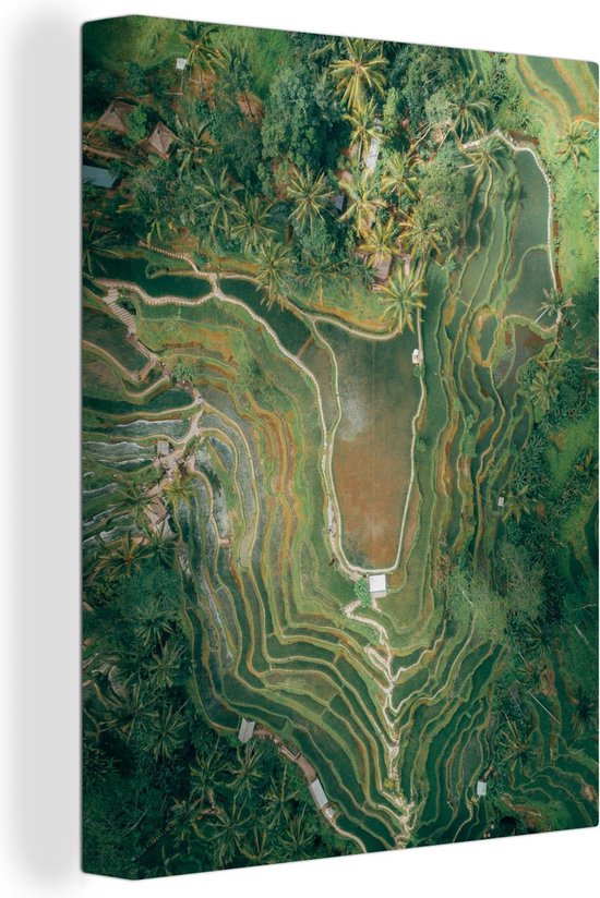 Toile de riz en terrasses de Bali 2cm | bol.com