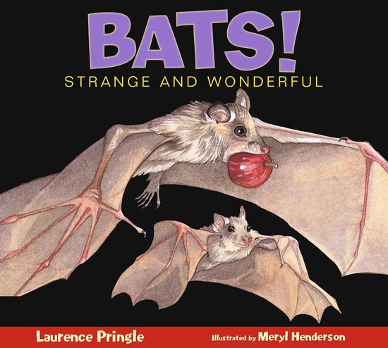 Strange and Wonderful - Bats! (ebook), Laurence Pringle | 9781635924800 ...