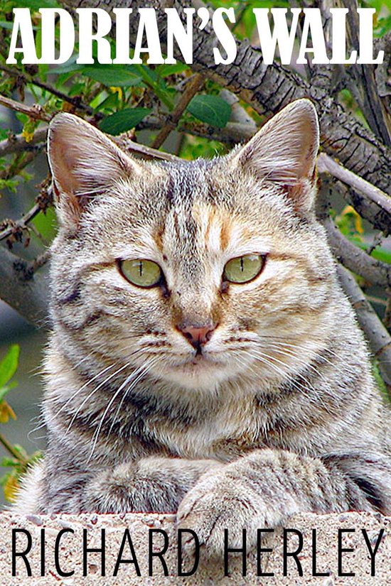 Adrian's Wall (ebook), Richard Herley | 9781370753215 | Boeken | bol.com