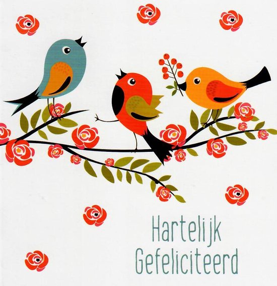 Wenskaart | 10 stuks | Hartelijk gefeliciteerd | bol Wenskaart | 10 stuks | Hartelijk gefeliciteerd | bol
