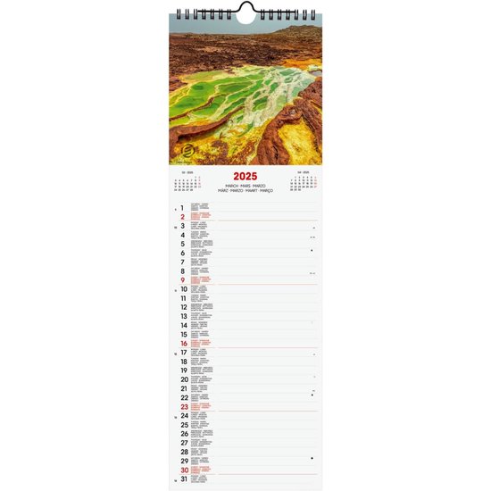 Equivera Jaarkalender 2025 - Maandkalender - Jaar Kalender ...
