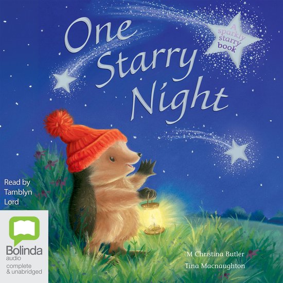 One Starry Night, M. Christina Butler | 9781038683113 | Boeken | bol