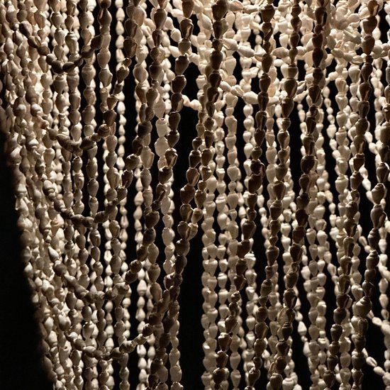Chandelier Shell 5 - SL05 | bol