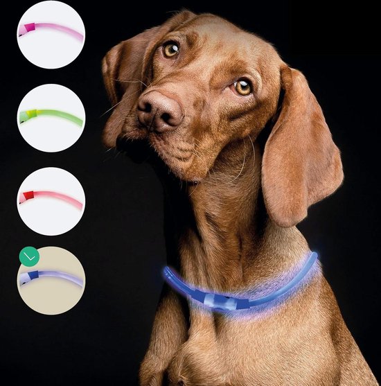 Large Plastic Food Storage Container - 5L Kitchen Bin with Measuring ...