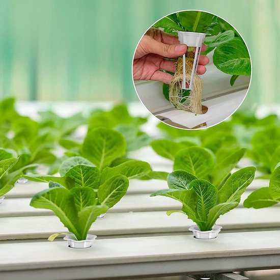 Hydrocultuur kweeksystemen - 100 stuks - inclusief plantenmand ...