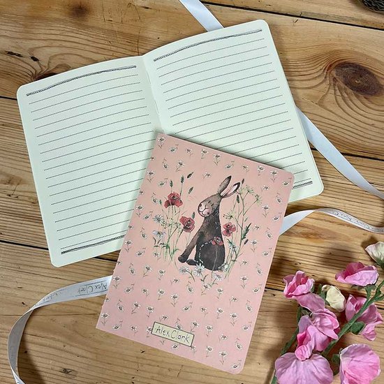 Alex Clark Naked Spine Notebook Hare ~ Notitieboekje zonder rug Haas | bol