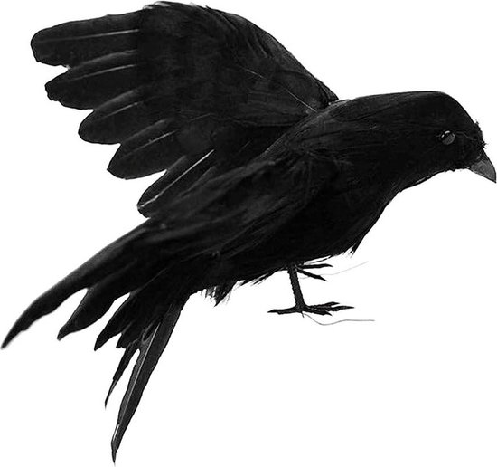 Gevederde kraaien decoratie - Handgemaakte realistische raaf voor ...