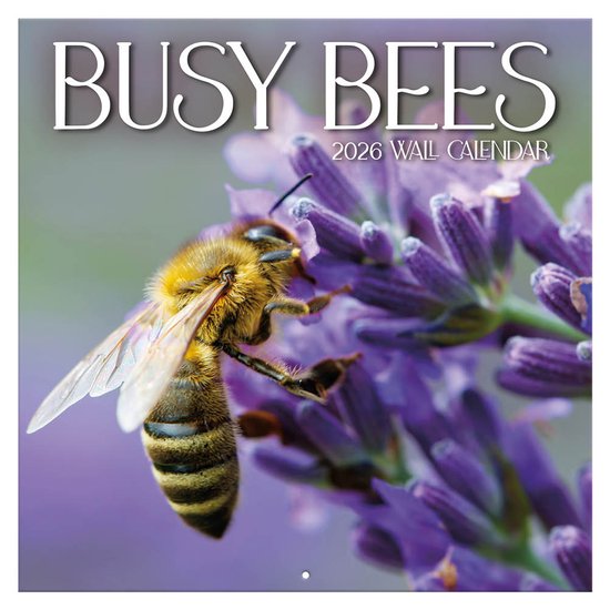 Busy Bees Kalender 2026 | bol