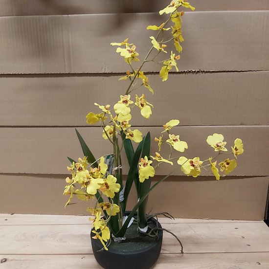 Emerald Kunstplant Orchidee Oncidium 58cm geel in pot - Kunstplanten ...