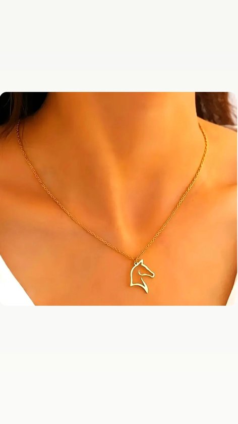 Akyol - ketting met een paard - horse - ketting hoefijzer - sieraden ...