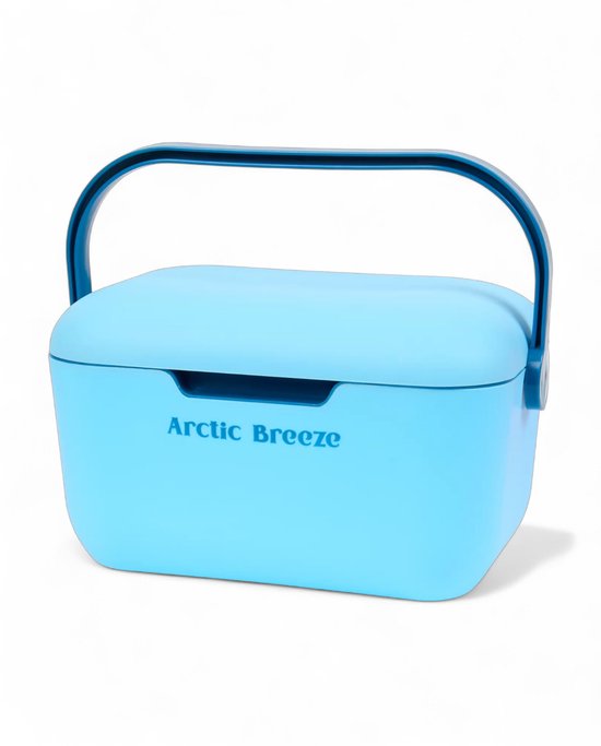 Mini koelbox - coolbox 5L - polypropyleen - L30 x H21 x 17.5cm - Blauw ...