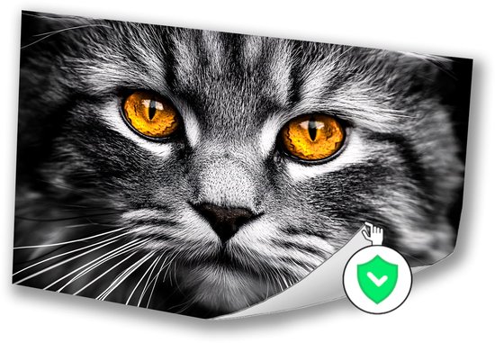 Kattenogen in zwart-wit contrast - Kat posters - Poster ogen ...