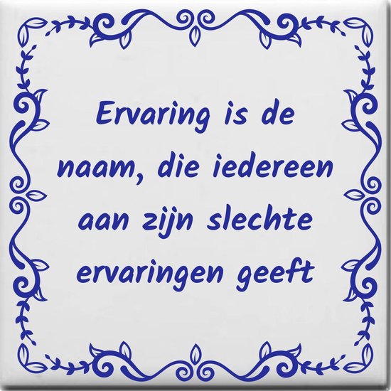 Wijsheden tegeltje met spreuk over Overig: Ervaring is de naam die iedereen aan zijn... | bol