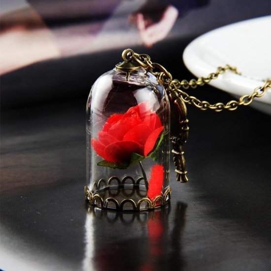 Fashionidea – mooie bronskleurige ketting met rode roos in glazen stulp ...
