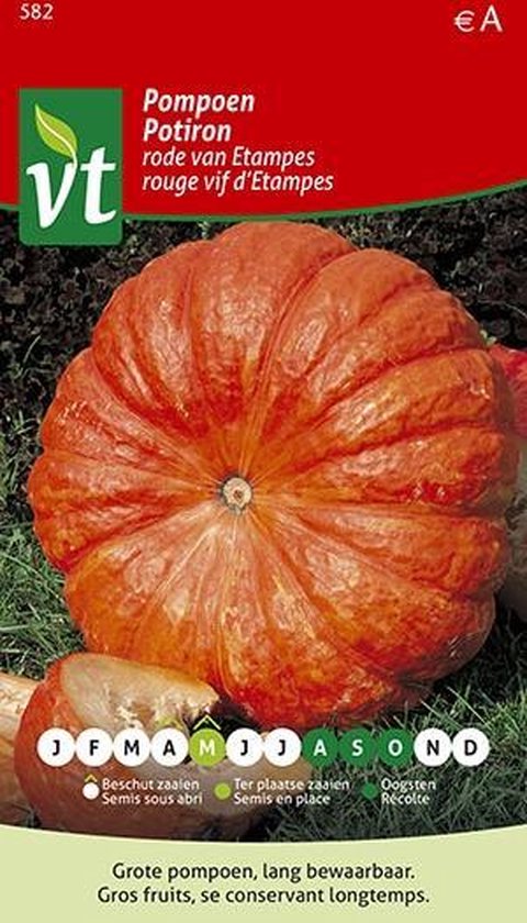 Pompoen Rode Van Etampes - Grote, geribde platronde oranje-rode pompoen ...