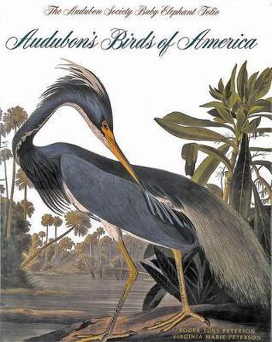 Audubon's Birds of America | 9781558591288 | John James Audubon ...