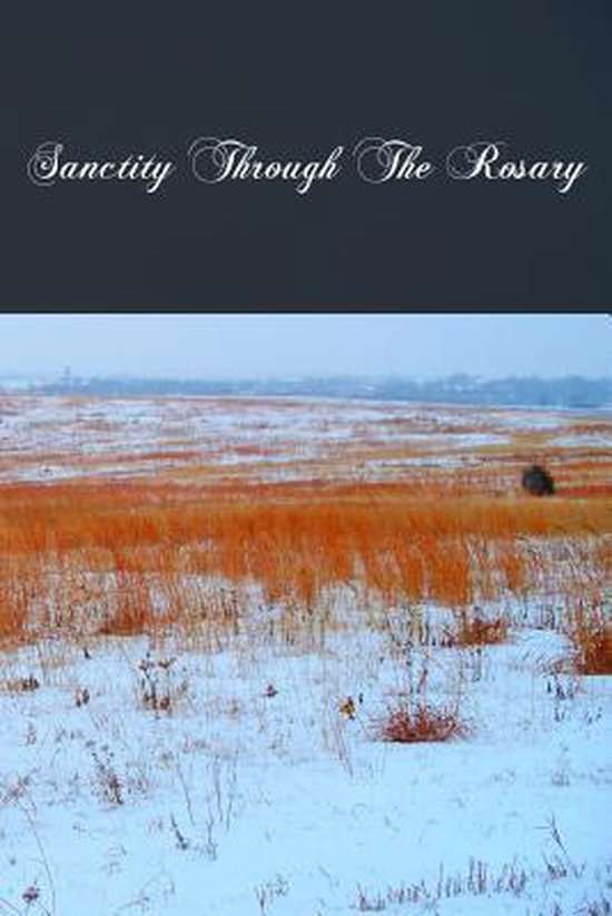 Sanctity Through the Rosary | 9781479384938 | Edouard Hugon O P ...