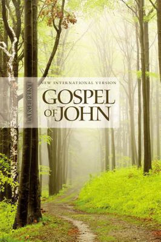 NIV Gospel of John | 9781563207334 | Zondervan Publishing | Boeken | bol