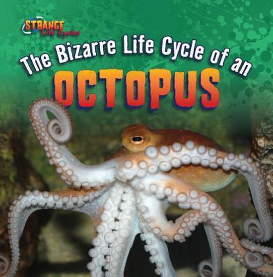 The Bizarre Life Cycle of an Octopus | 9781433970566 | Therese Shea ...