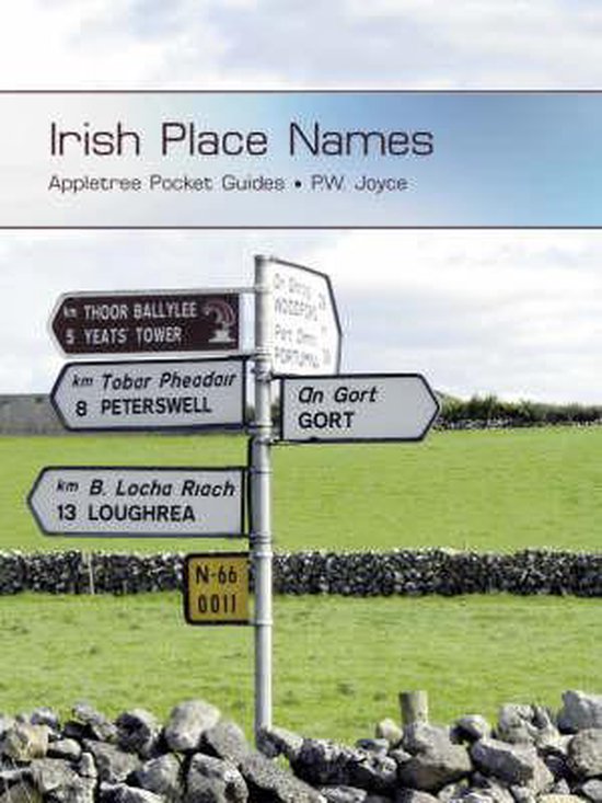 Irish Place Names, P. W. Joyce | 9780862819934 | Boeken | bol.com