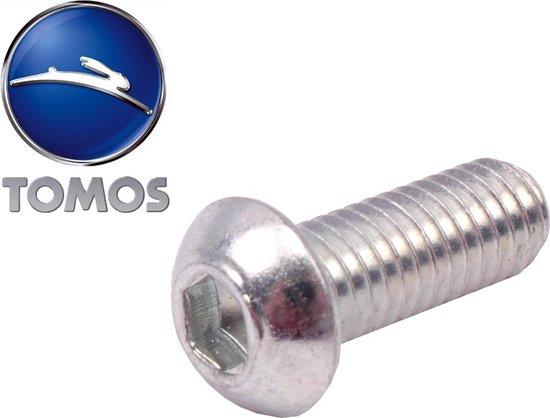 026.690 INBUSBOUT M6x16 mm BOLKOP | bol