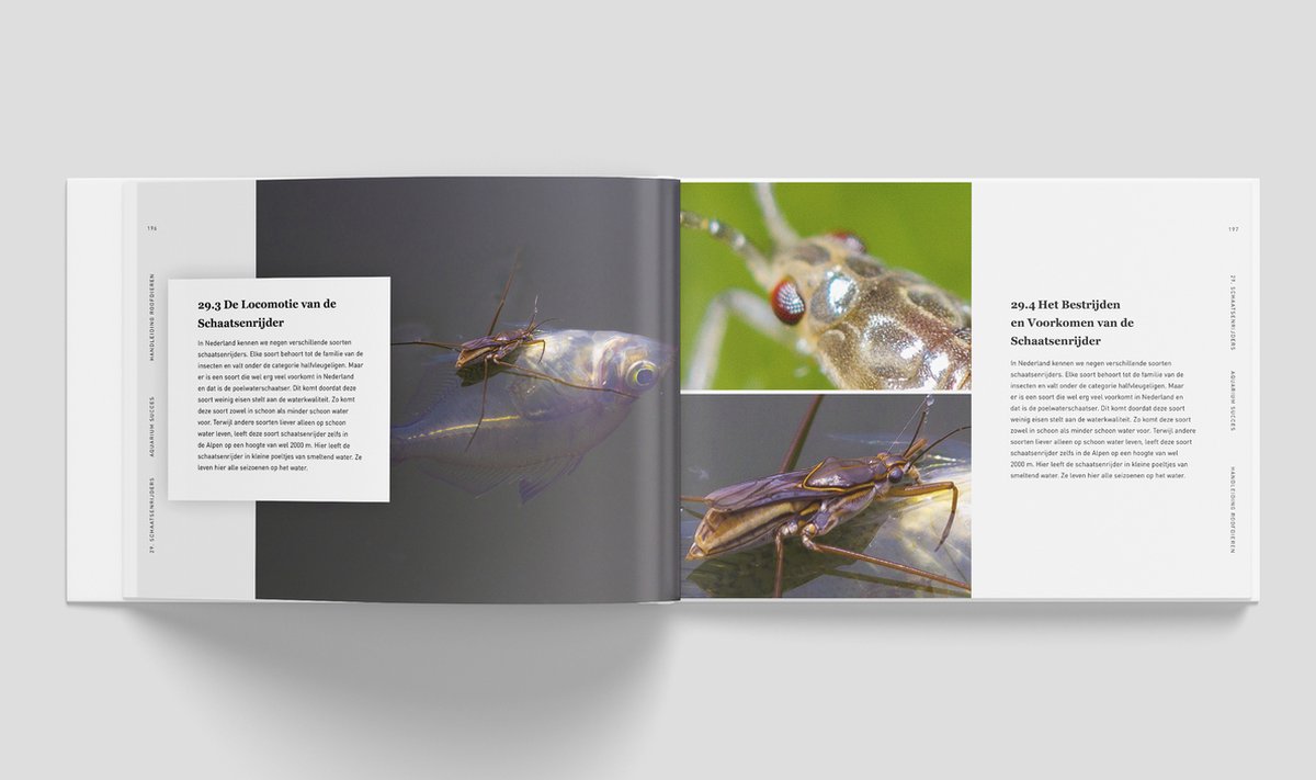 Het Handboek De Plaagdieren Van Het Zoetwateraquarium, Marco van ...