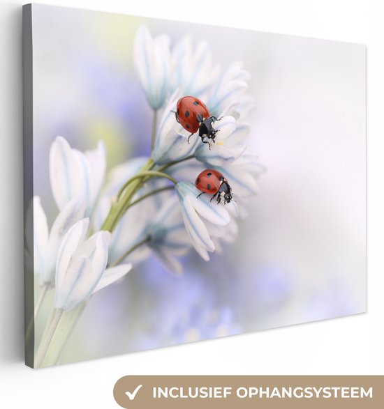 Canvas doek - Foto op canvas - Lieveheersbeestjes - Bloemen - Dieren ...