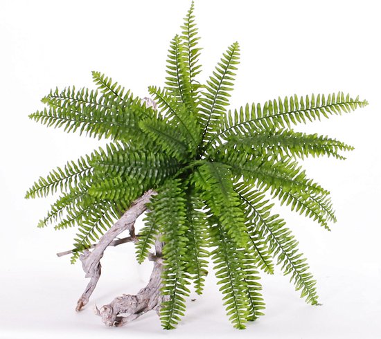 Varen - Boston - xxl - Kunstplant - 90cm - UV-bestendig | bol