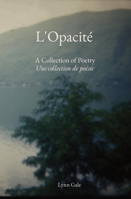 L'Opacité (ebook), Lynn Gale | 9781739052706 | Boeken | bol