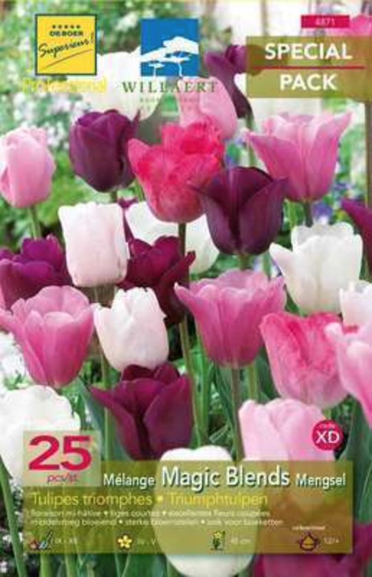 Tulipa mix 'Magic Blends' | bol