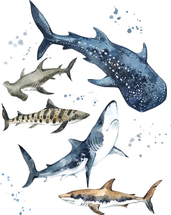 A4 Dive into Underwater Magic with Our Shark Wall Art Poster/ Duik in ...