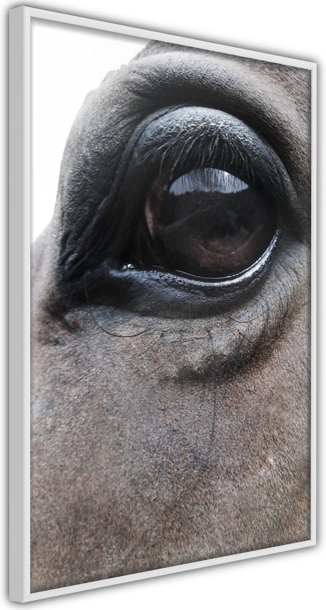 Gentle Eyes | bol.com