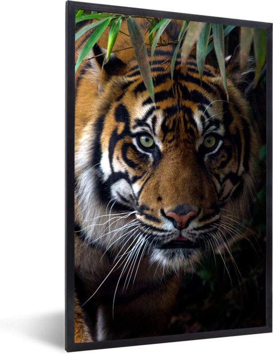 Fotolijst incl. Poster - Tijger - Bladeren - Jungle - Dieren - Wild - 60x90 cm -... | bol