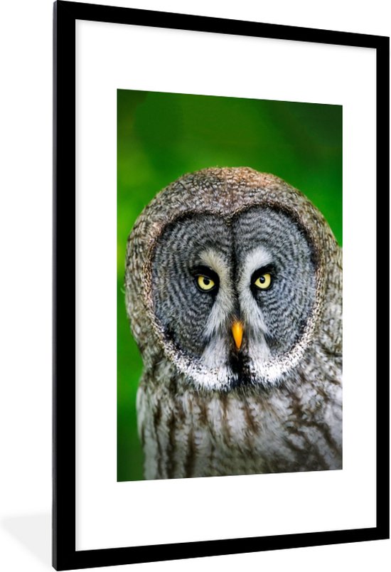 PosterMonkey - Poster - Fotolijst - Vogel - Uil - Dieren - 60x90 cm ...