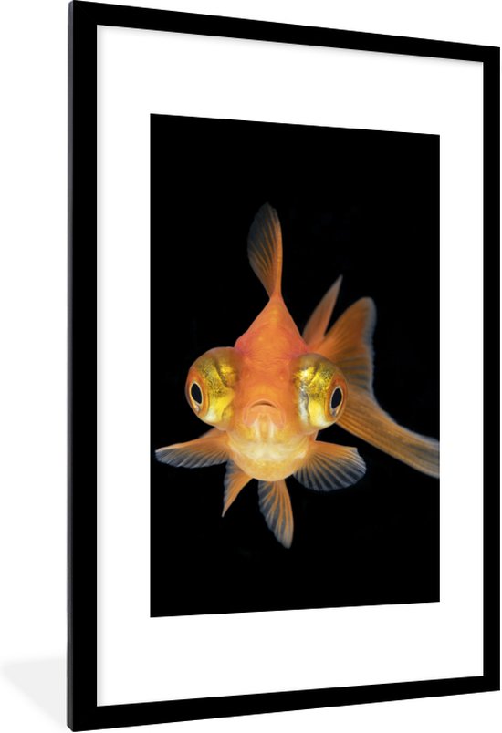Fotolijst incl. Poster - Goudvis - Zeedieren - Ogen - 60x90 cm ...