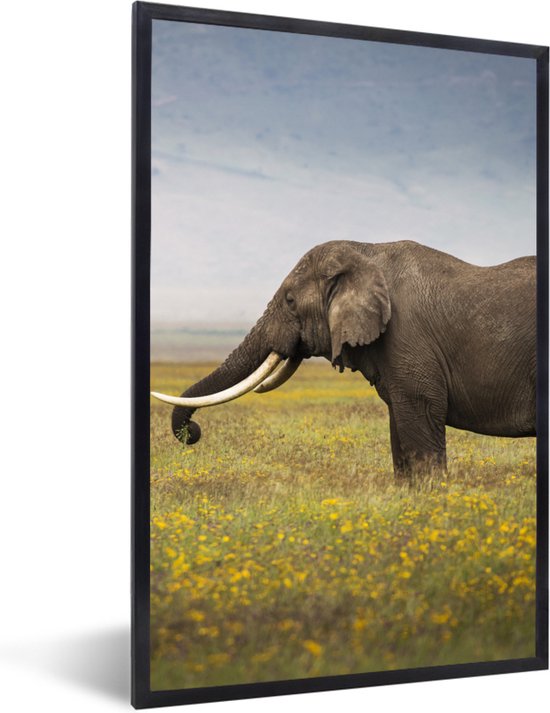 Fotolijst incl. Poster - Olifant - Dieren - Bloemen - Gras - Natuur ...