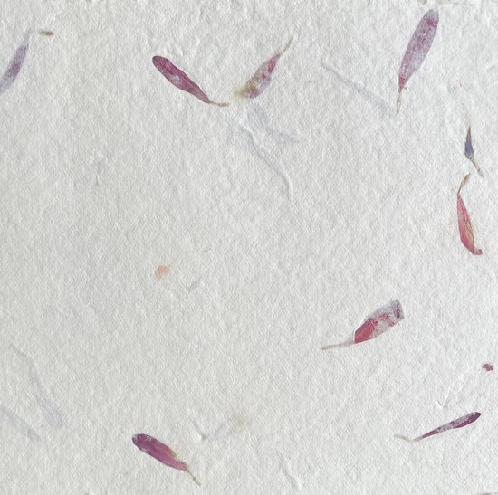 Set van 25 vel Tree Free katoenpapier A4 met aster bloempjes 200 grs | bol